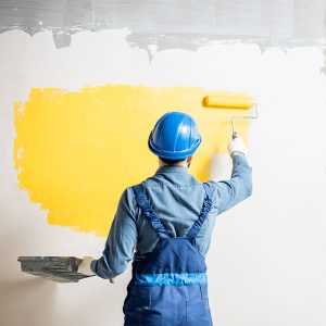Paint Applicators | Flying Colours Painting